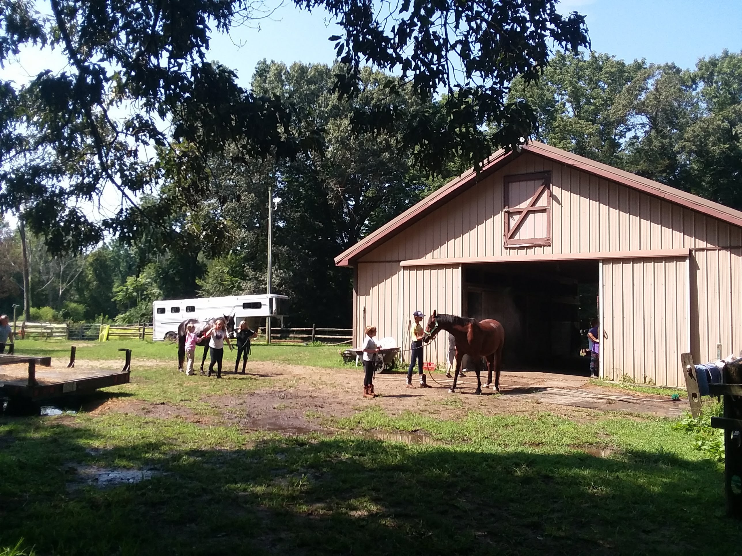 Summer Camp – Sovereign Hill Stables