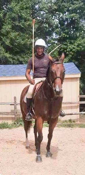 Polo Lessons – Sovereign Hill Stables