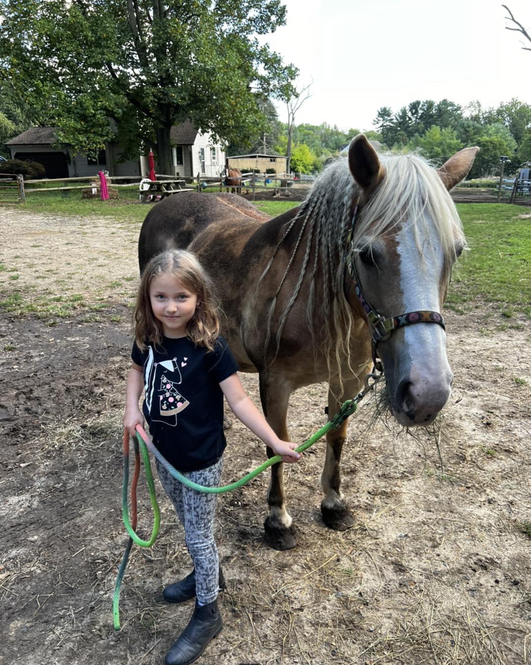 Sovereign Hill Stables – Horse back riding lessons Pony parties and ...
