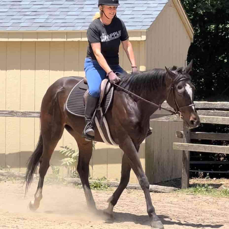 Sovereign Hill Stables – Horse back riding lessons Pony parties and ...